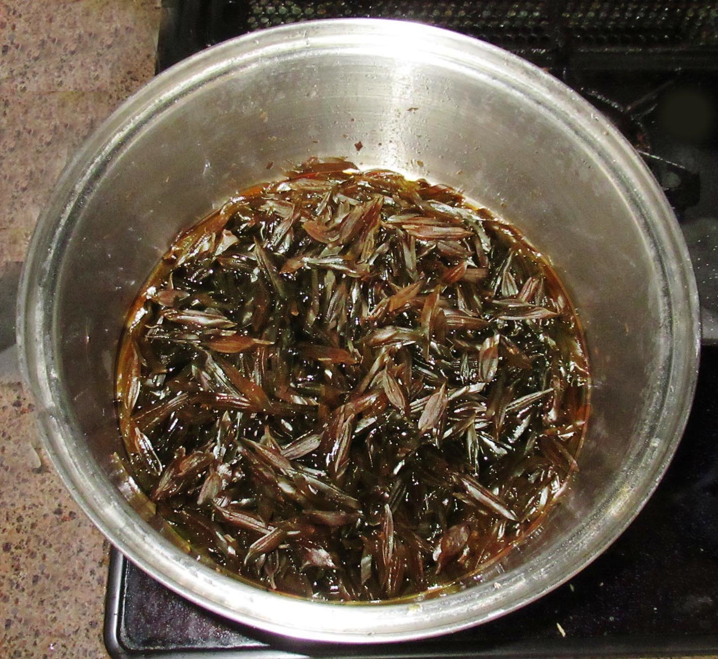 ワカメの茎煮: ヒゲメバルの釣りブログ