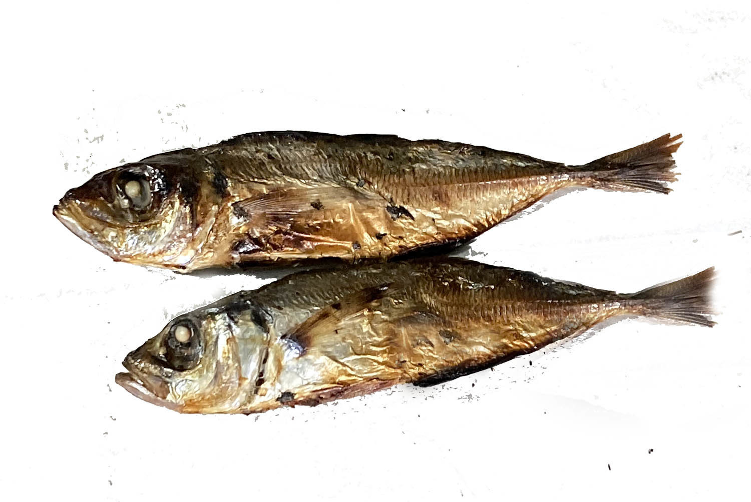 この頃おやつはコレ: ヒゲメバルの釣りブログ